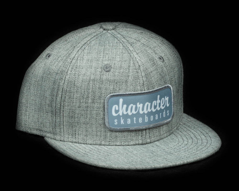 Snapback - Light Gray | Character Skateboards | Chicago's Longest ...